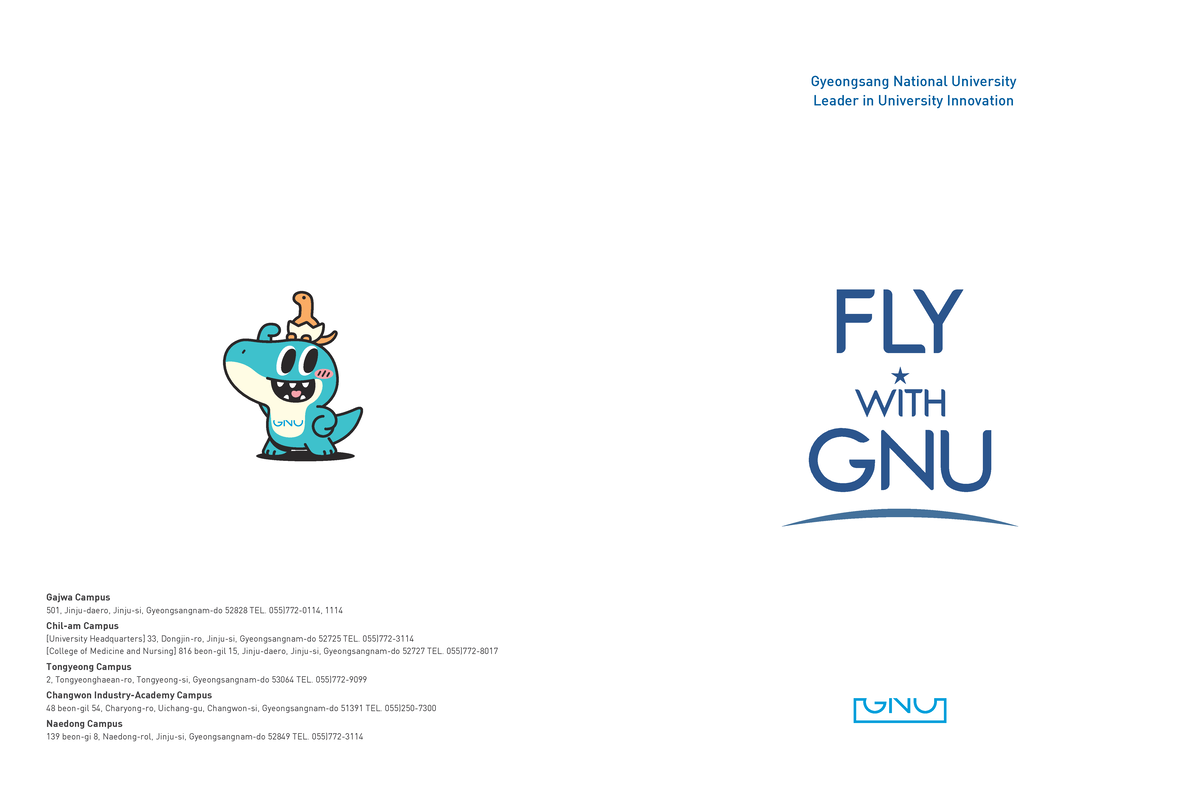 Gyeongsang National University: Vision, Goals, and Innovations Overview ...