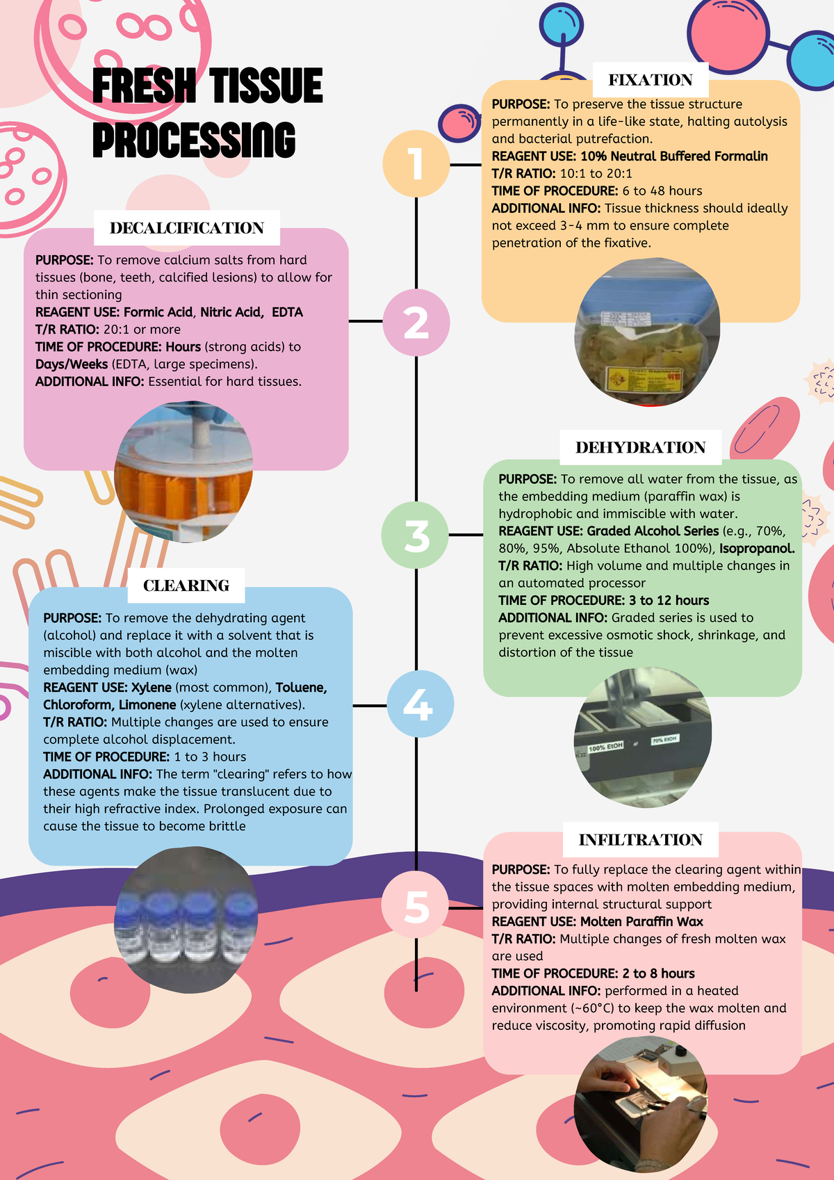 FRESH TISSUE PROCESSING: Fixation to Sectioning Guide - Studocu