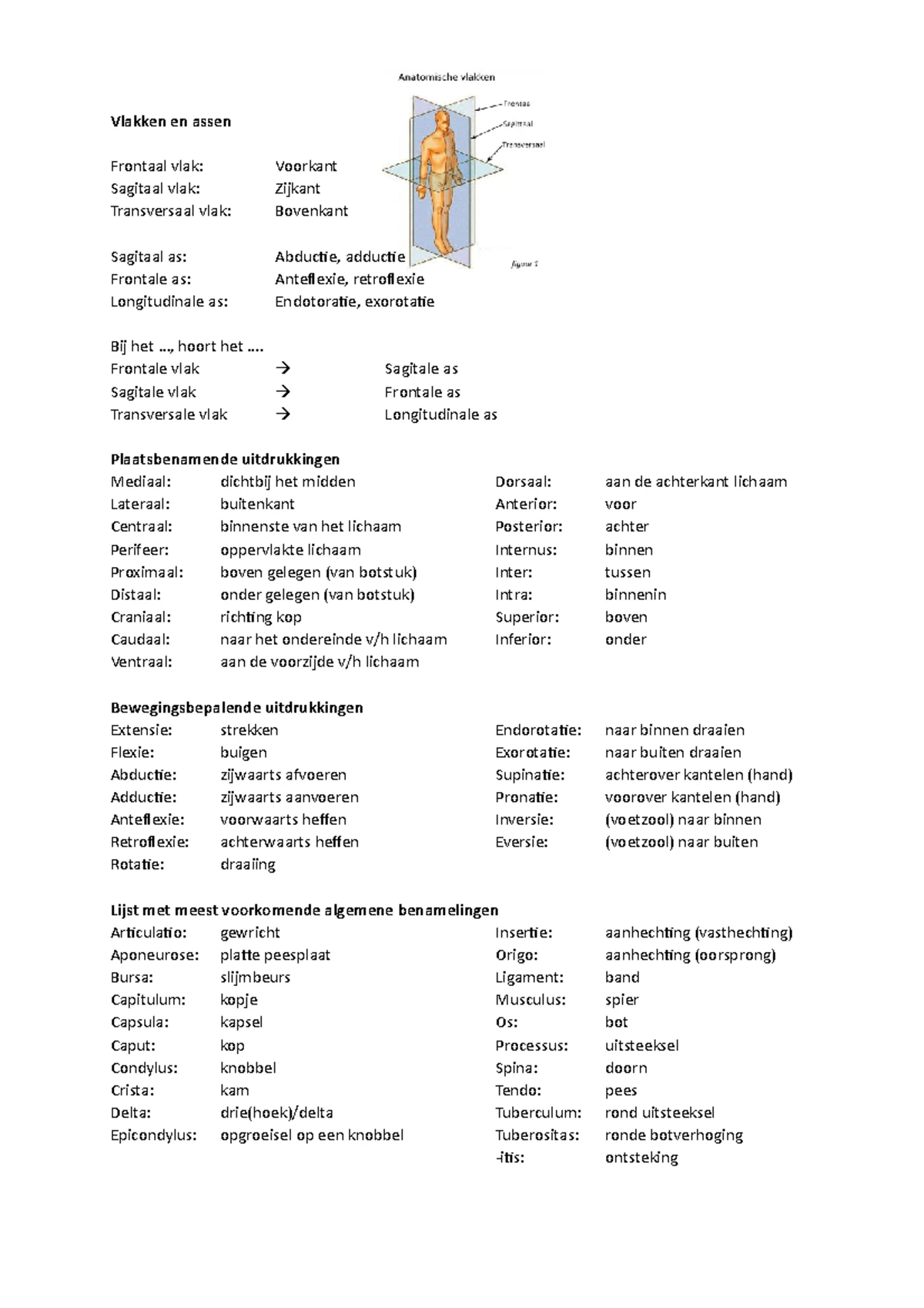 Overzicht musculatuur onderste extremiteit: origo & insertie ...
