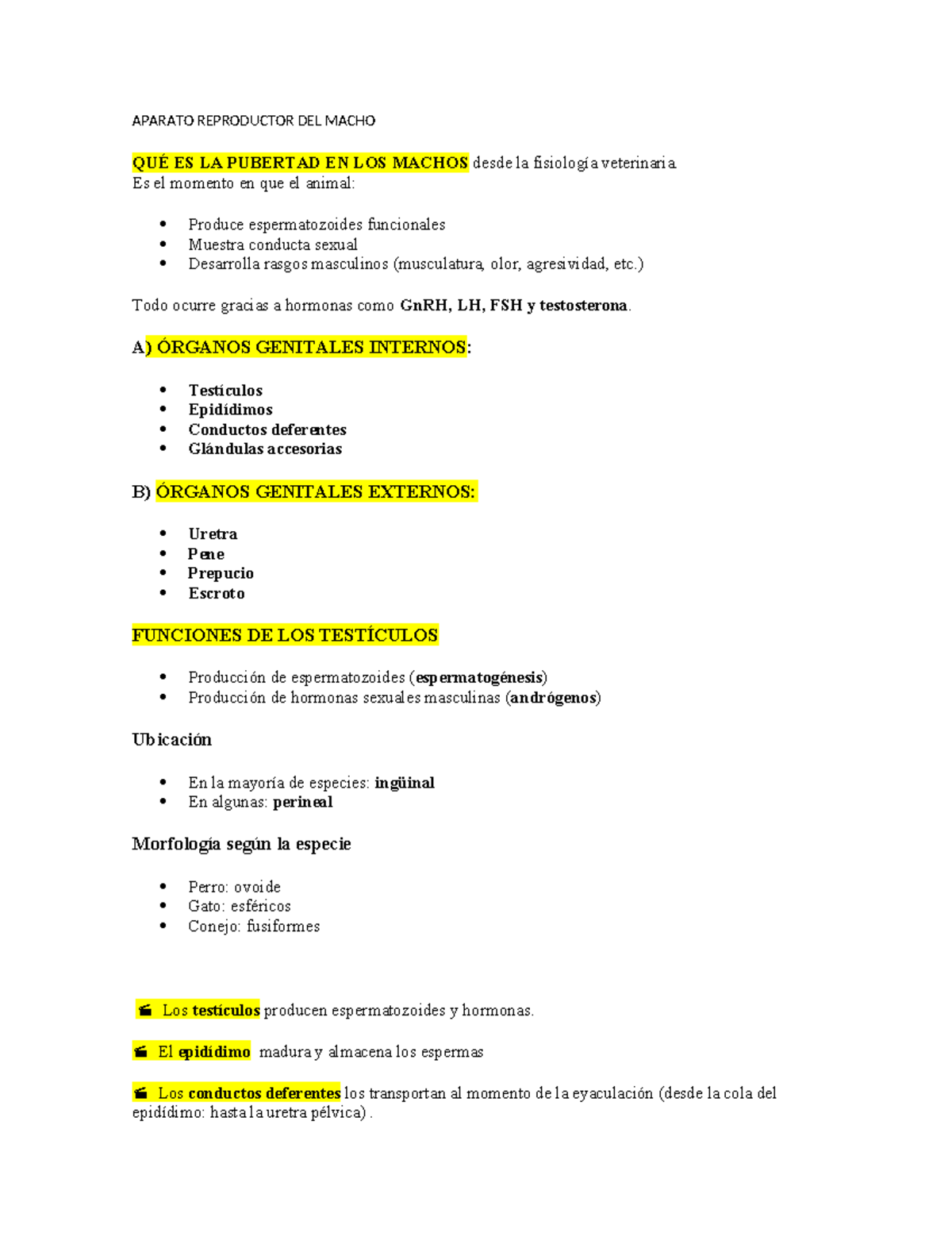 APARATO REPRODUCTOR DEL MACHO: Fisiología y Pubertad en Veterinaria ...