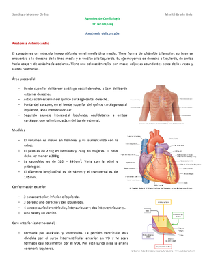 Esfínter Esofágico Superior - Esfínter Esofágico Superior Conformado ...