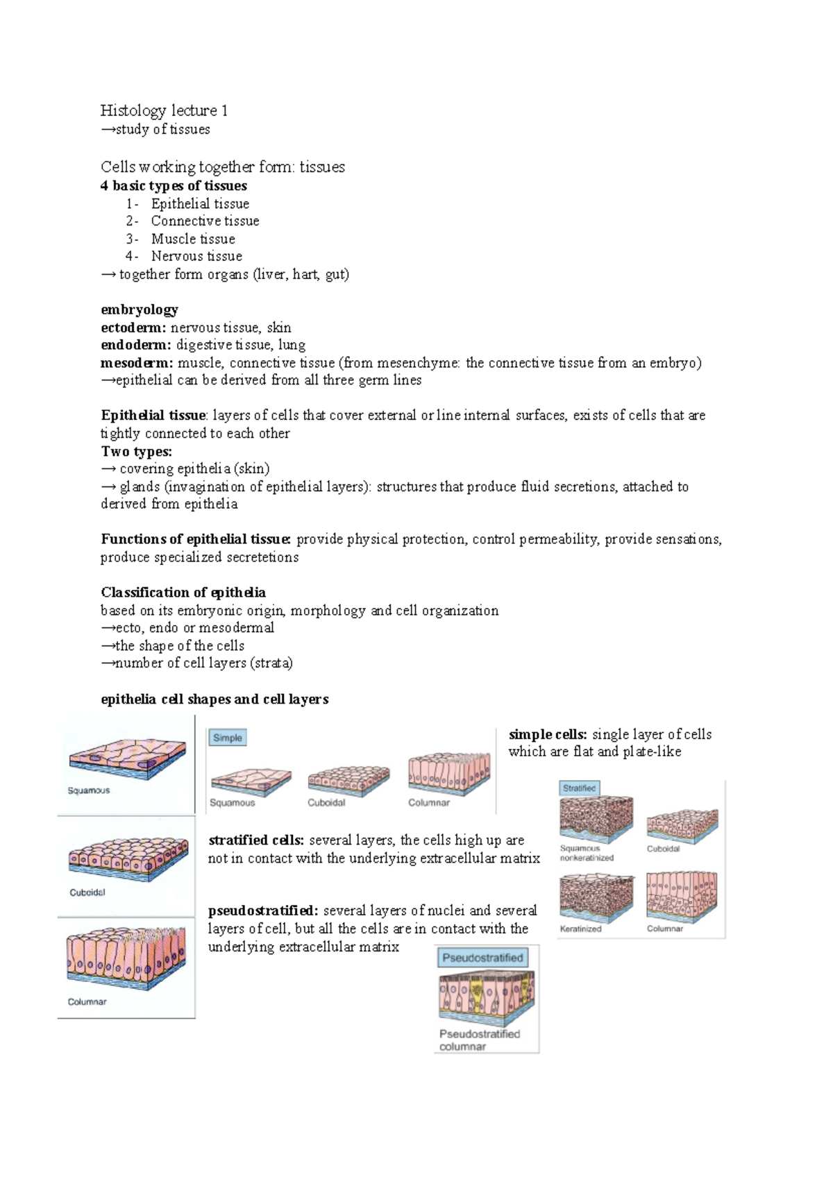 Epithelial Tissue Overview - Histology Lecture 1 (Course Code: HST101 ...