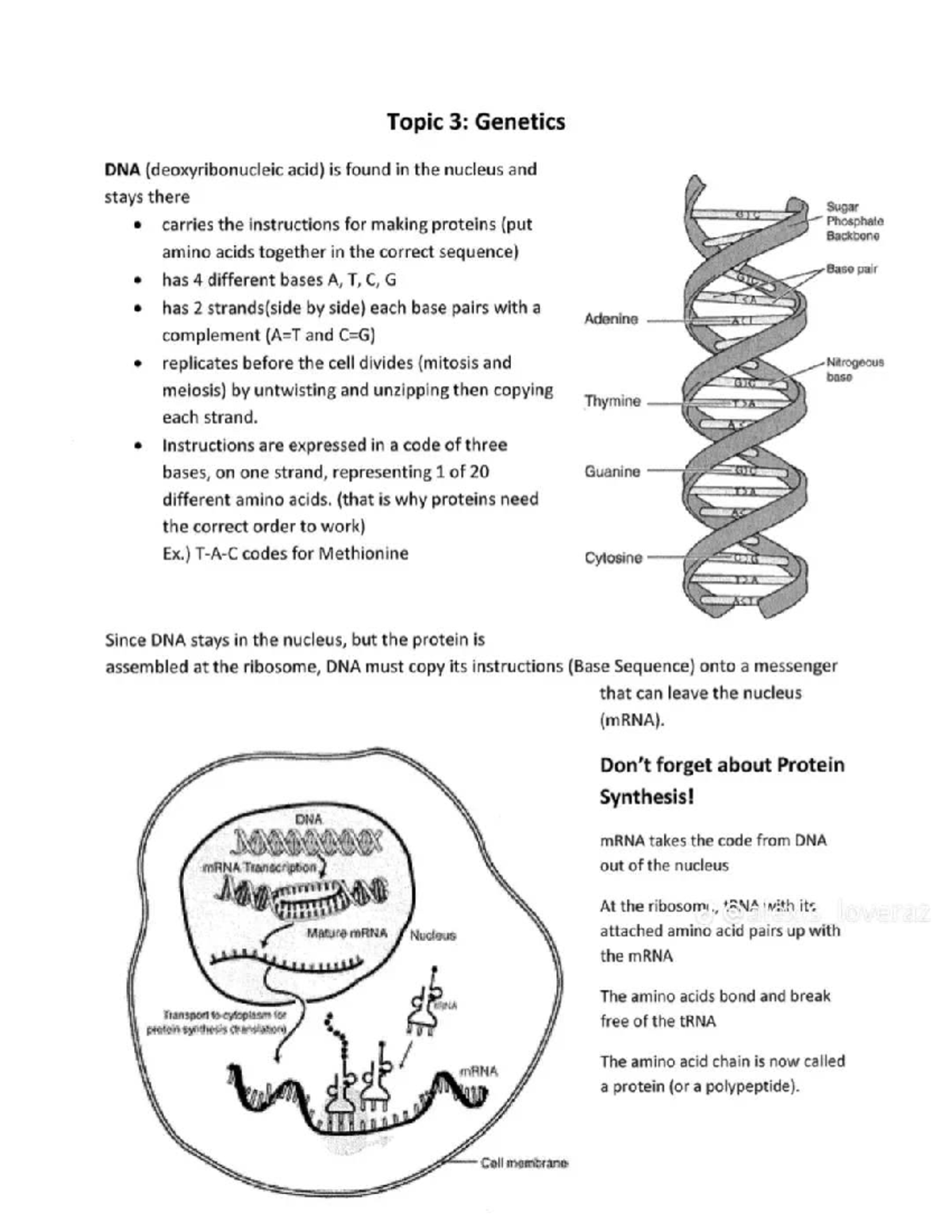 Final Exam Study Guide for ABC123: Genetics and DNA Concepts - Studocu