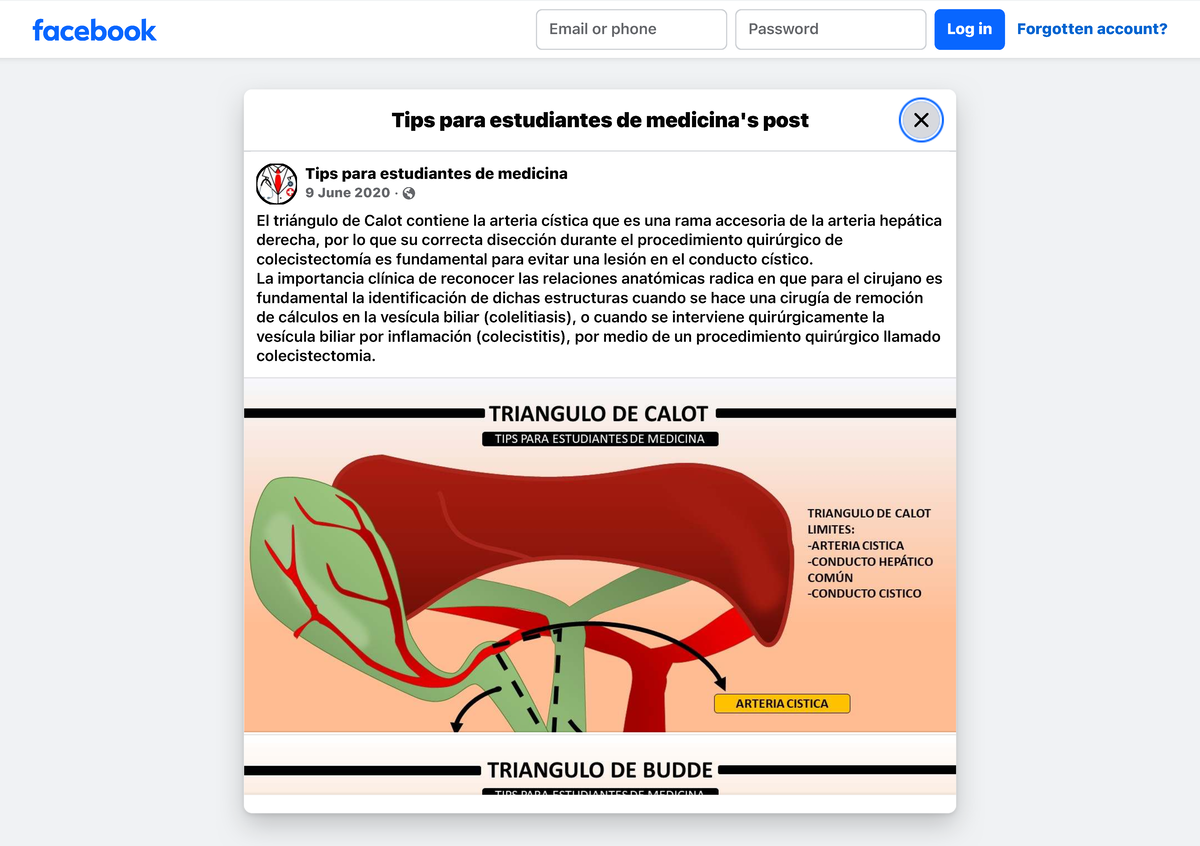 Tips sobre el triángulo de Calot para estudiantes de medicina - Studocu