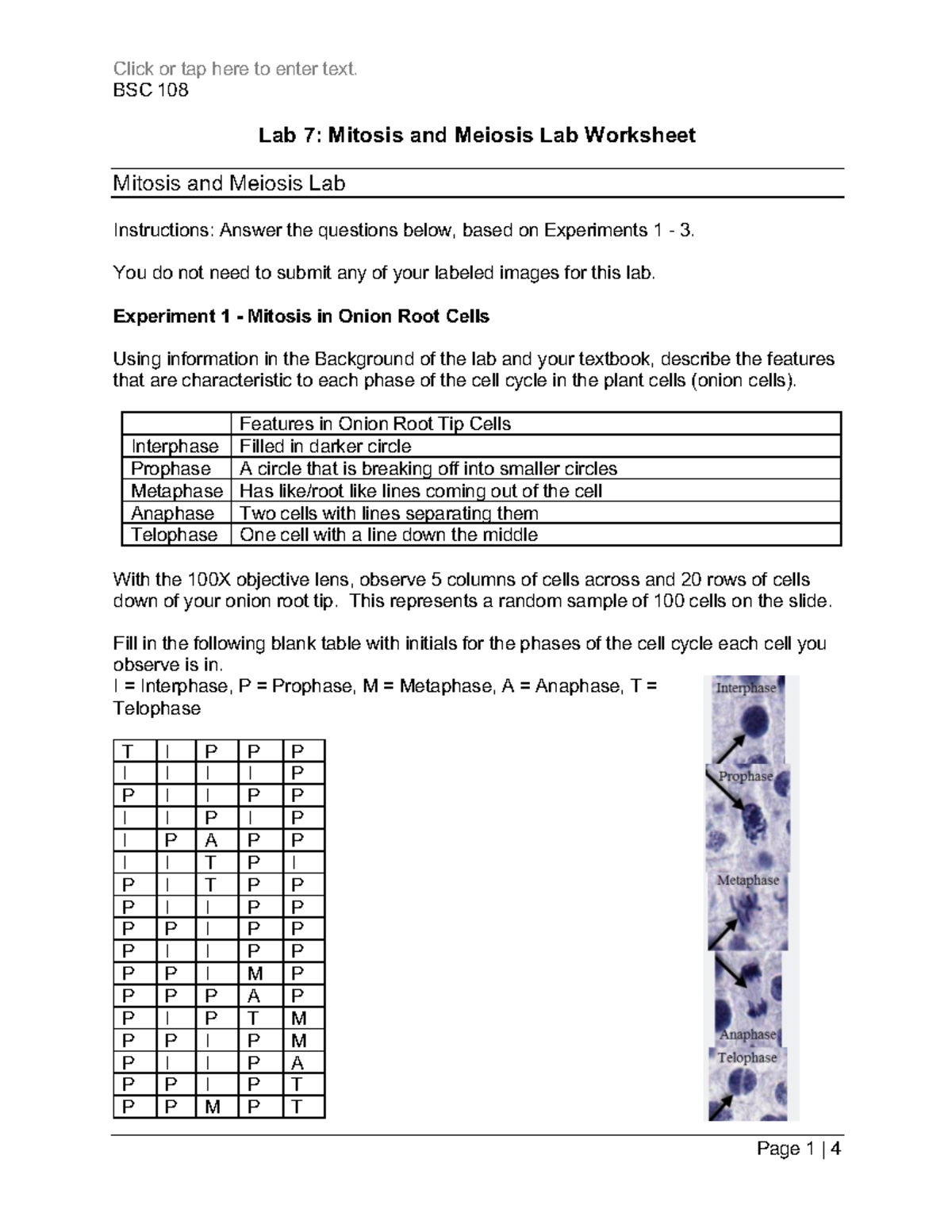BSC 108 Lab 7: Mitosis and Meiosis Worksheet Essentials - Studocu