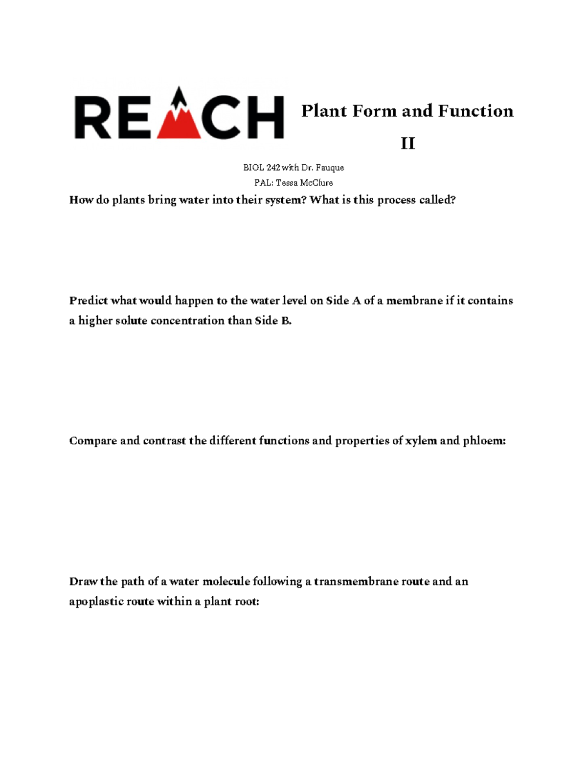 Plant Form and Function II - BIOL 242 Notes on Water Transport - Studocu