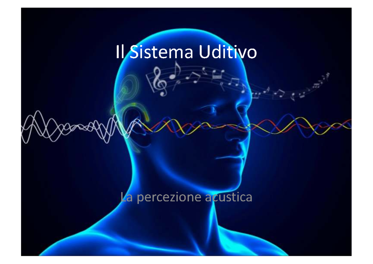 Il Sistema Uditivo: Percezione Acustica e Funzionamento (Uditivo) - Studocu