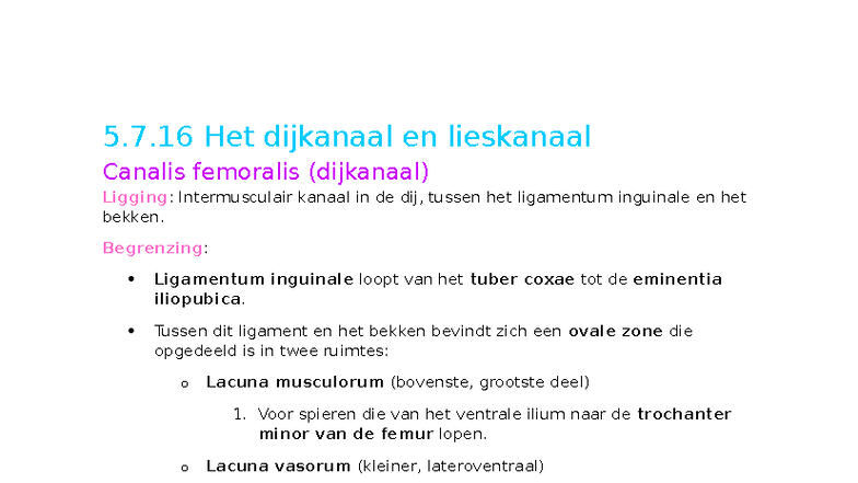 Het dijkanaal en lieskanaal: Anatomie en Functie - Studocu