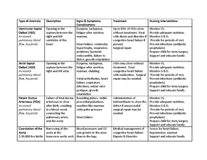 NR293 Active Learning Activity Medication Concept Map Nov 21 - Name ...