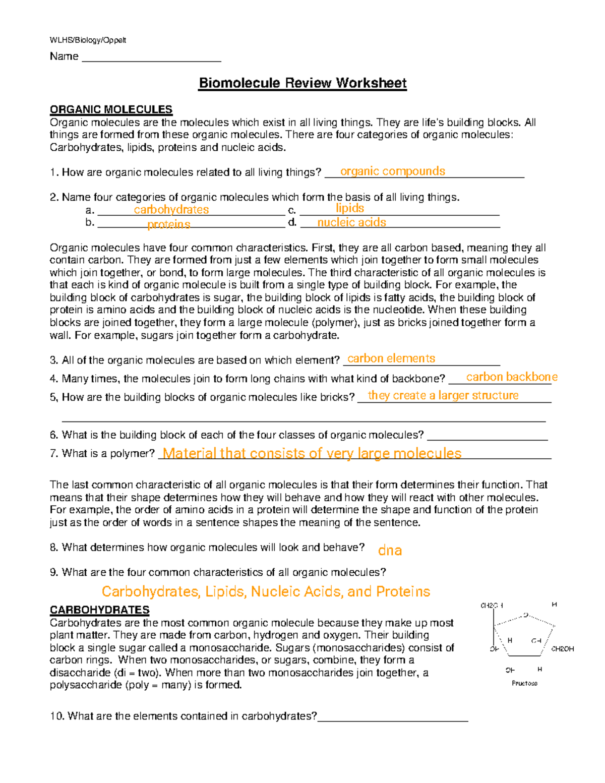 Biomolecule Review Worksheet: Organic Molecules Overview - Studocu
