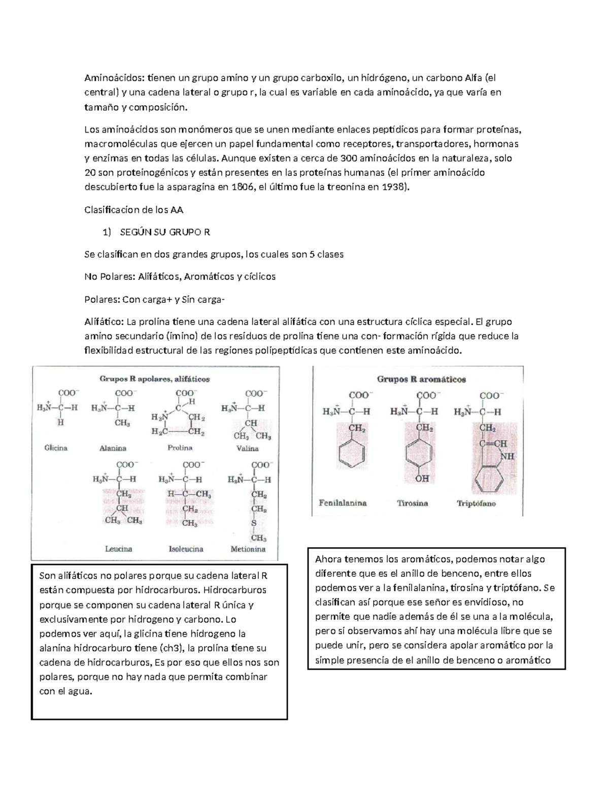 Aminoácidos: Clasificación y Funciones Esenciales en Proteínas - Studocu