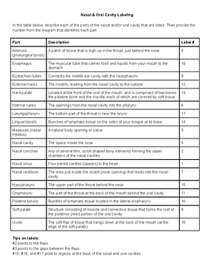 Estimating height from long bones - Investigation: Can You Estimate a ...