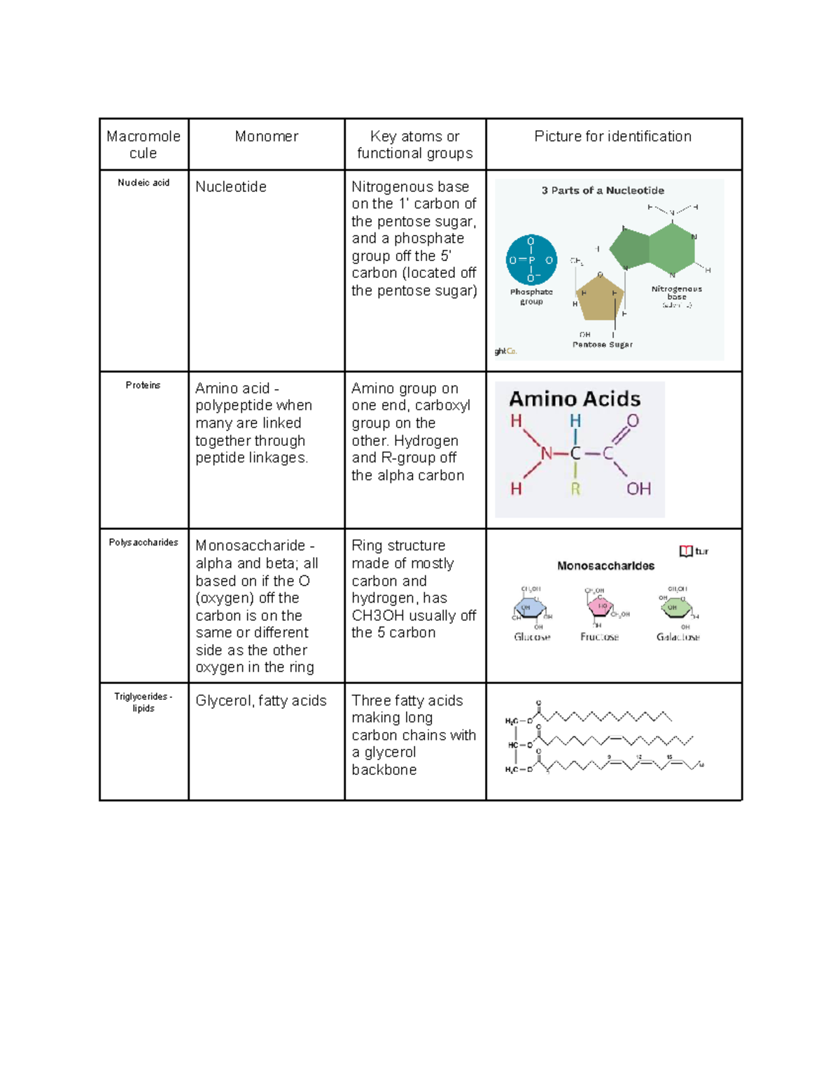 Exam 1 Review - macromolecules - Macromole cule Monomer Key atoms or ...