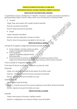 Músculos Intrínsecos del Pie: Estructura y Función - Studocu