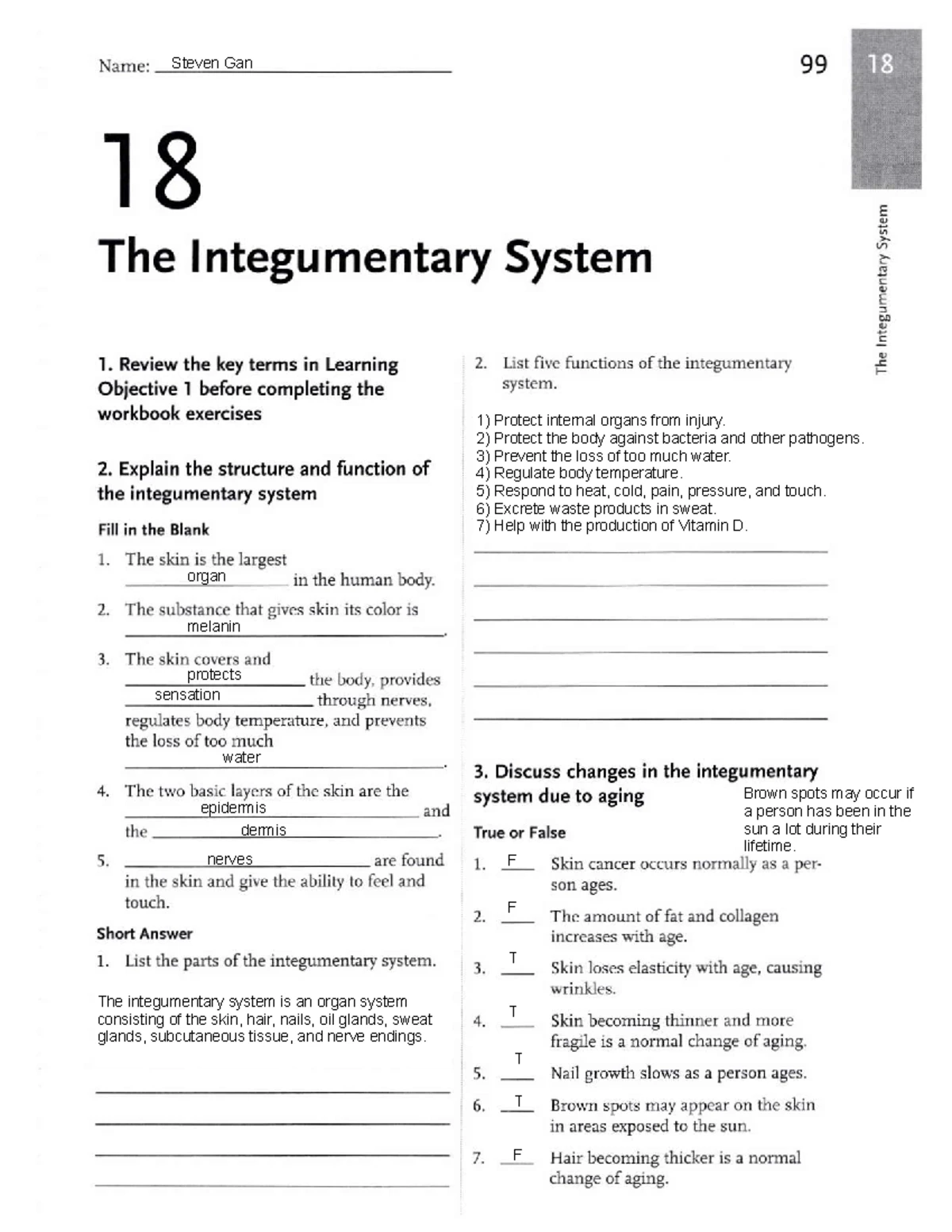 Work Book Exercises Chapter 3 pdf - 3 Name 1 5 7 Communication Skills I. Review the key terms in ...
