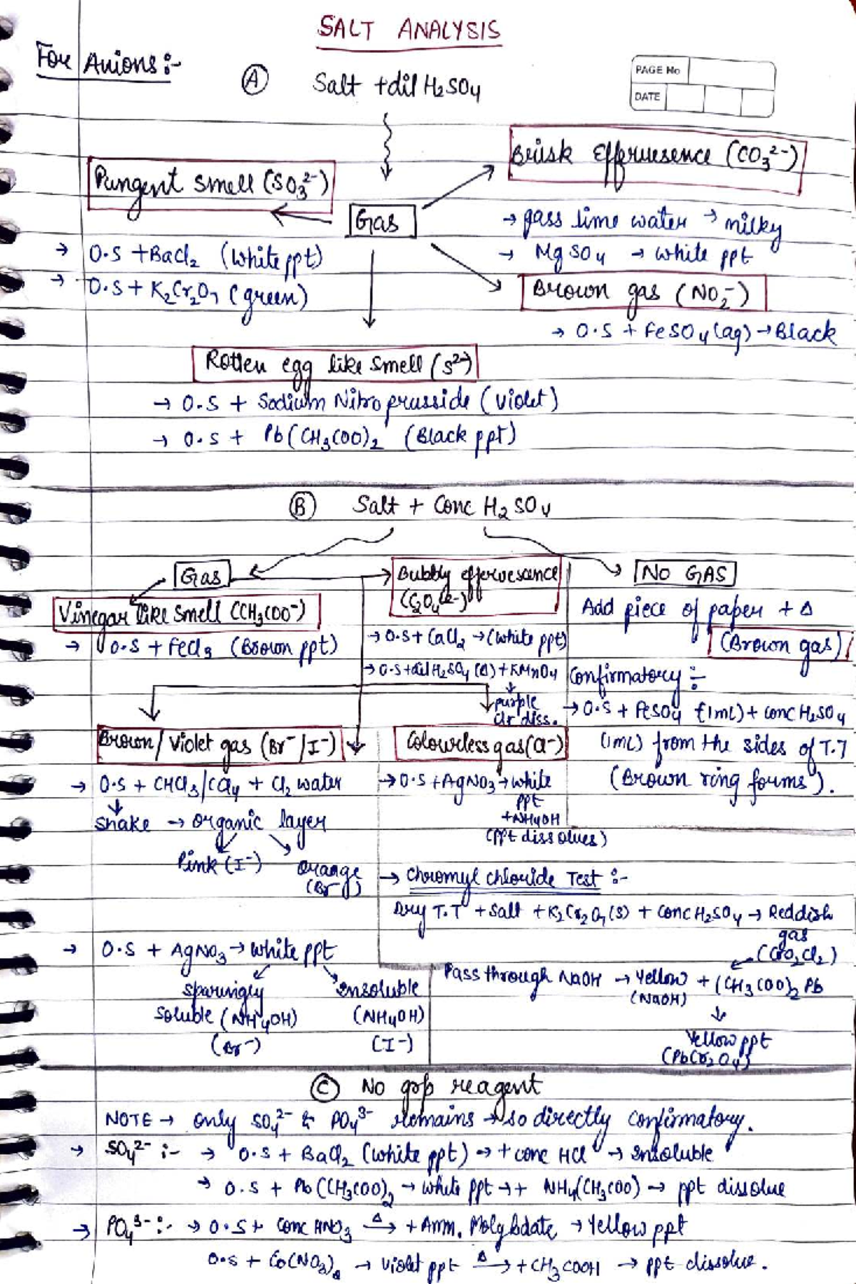 SALT ANALYSIS: Key Notes and Procedures for Lab Work - Studocu
