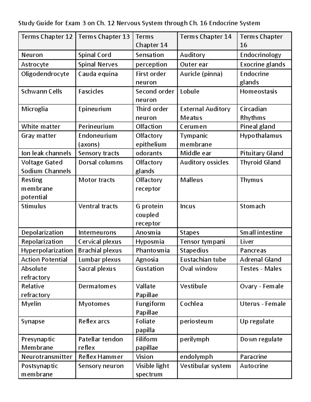 Study Guide for Exam 3: Chapters 12-16 on Nervous & Endocrine Systems ...