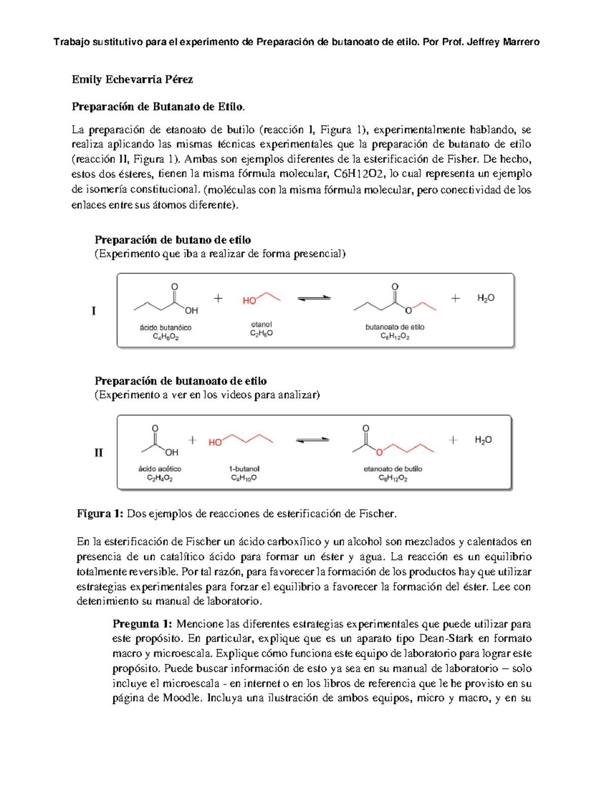 Emily Trabajo Sustitutivo - Emily Echevarria Pérez Preparación de ...