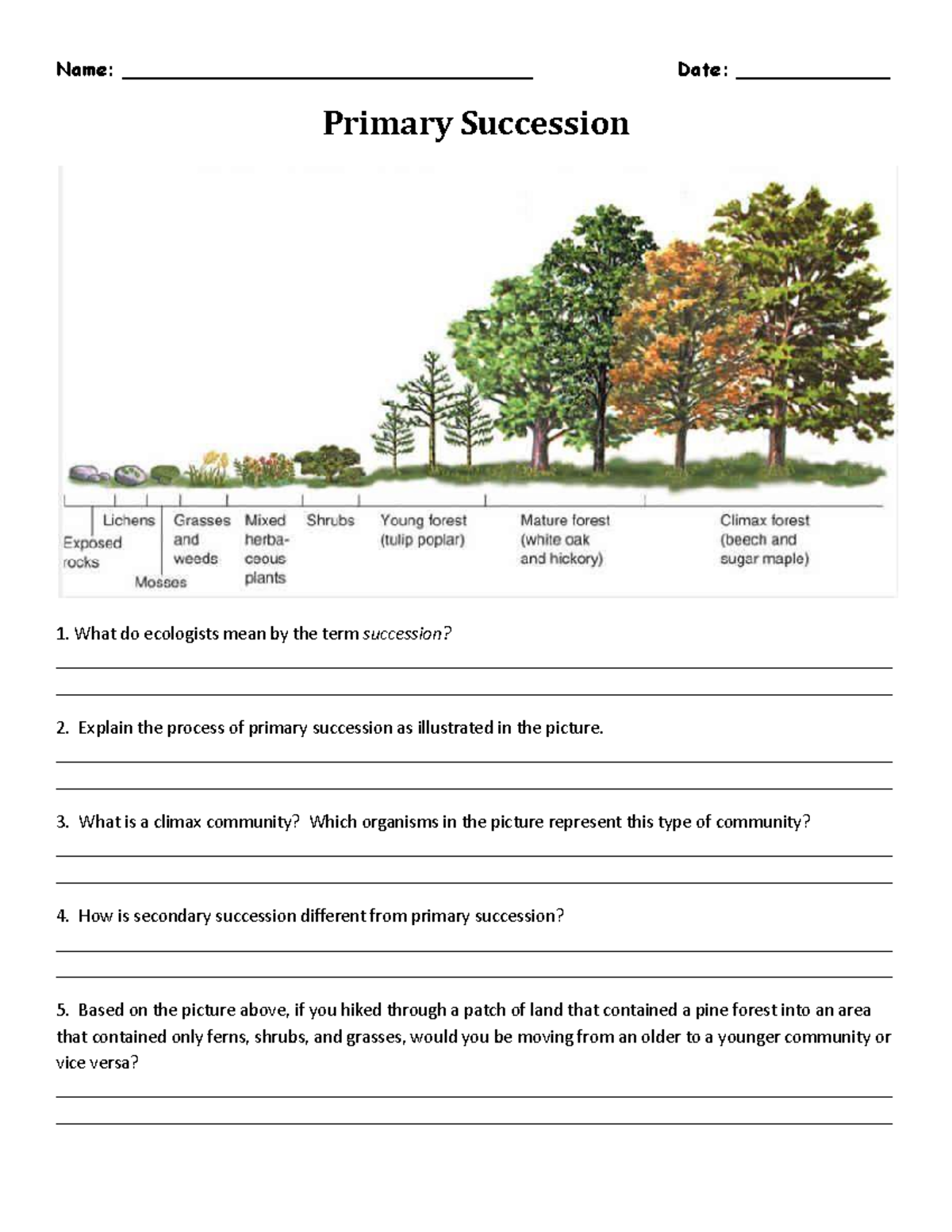003 Succession Assignment: Understanding Primary & Secondary Succession ...