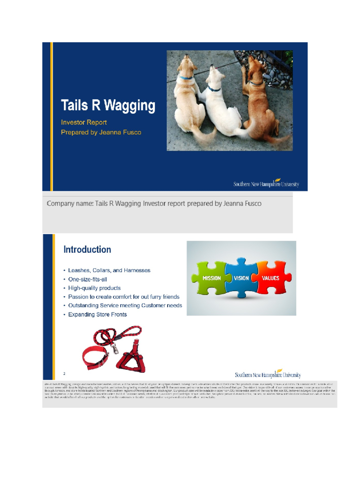 ACC 202 Project 7: Analyzing Selling Prices and Contribution Margins ...