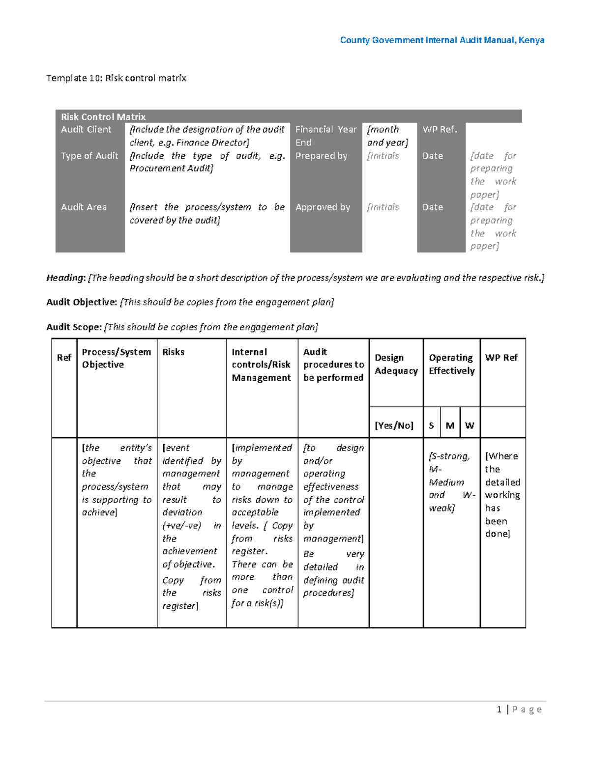 County Government Internal Audit Manual: Template 10 Risk Control Matrix - Studocu