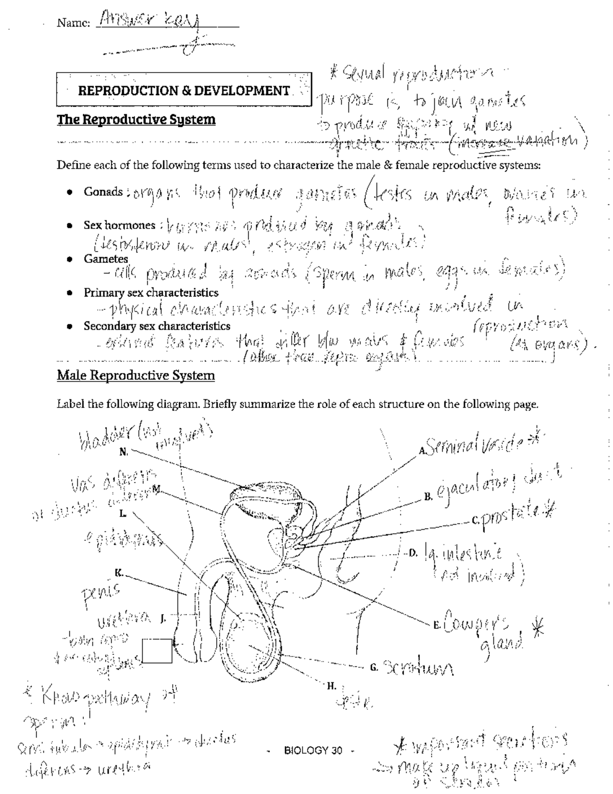 Biology 30 Unit B Topic 1 Reproduction & Development Answer Key - Studocu