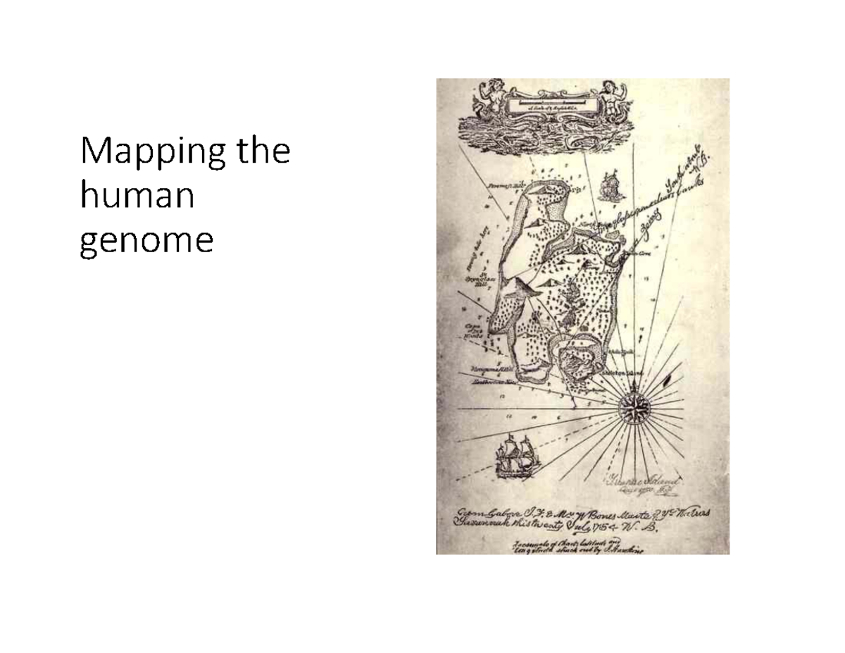 Lecture 3 - Overview of Human Genome Mapping Techniques - Studocu