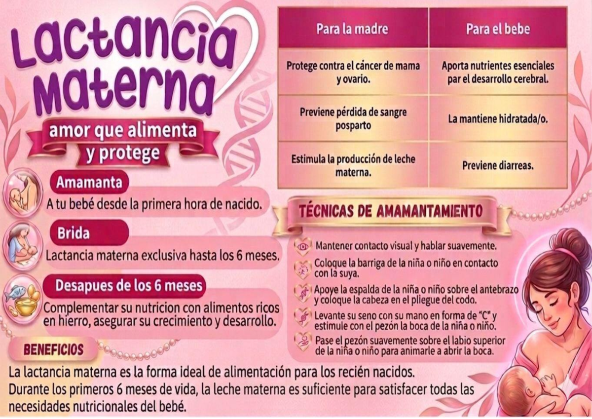 Lactancia Materna: Beneficios y Técnicas de Amamantamiento - Studocu