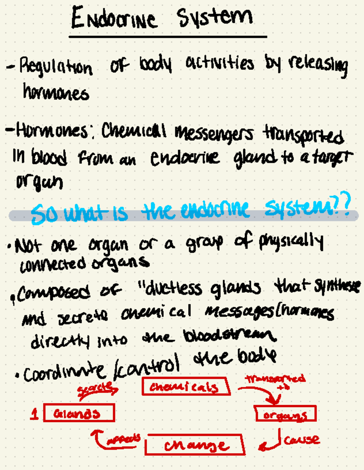 6a - Endocrine sYSTEM - Endocrine system Regulation of body activities ...