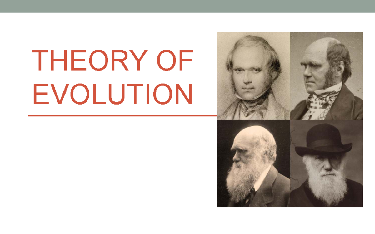 Evolution Notes: Understanding the Theory of Evolution and Natural ...