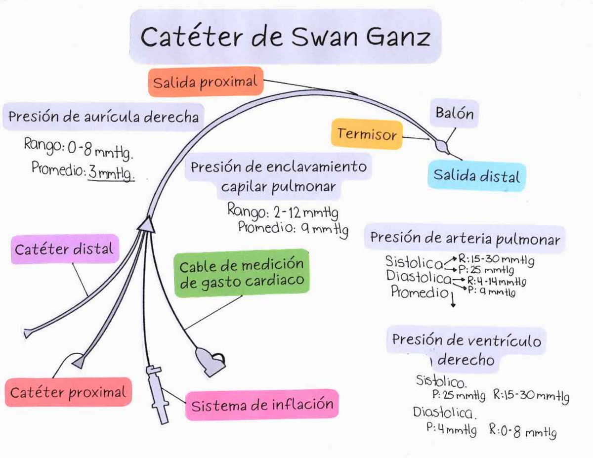 Catéter de Swan Ganz: Tarea de Cardiología - Studocu