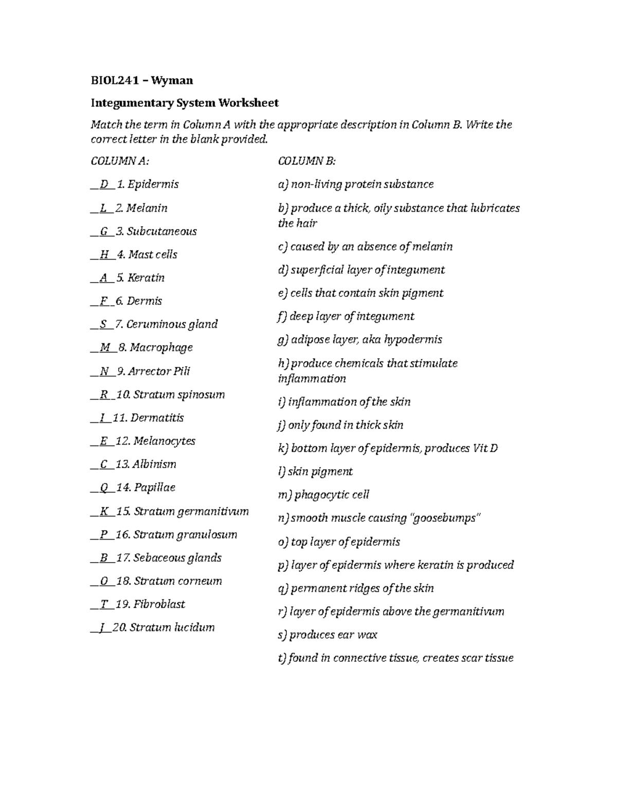 Integumentary System Worksheet (BIOL241) - Matching Terms ...