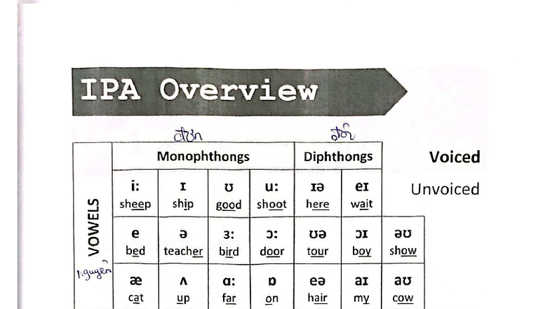 IPA Overview: Monophthongs, Diphthongs, and Consonants G148 - Studocu