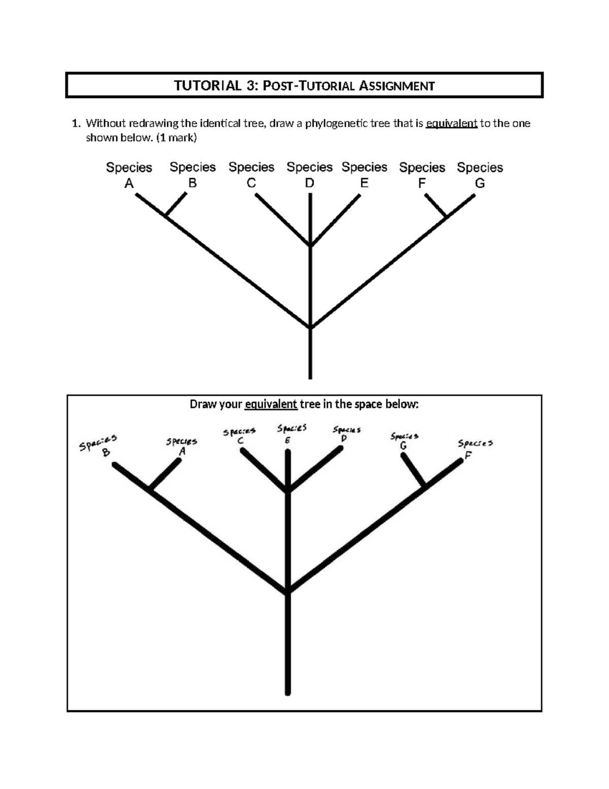 Post-Tutorial 3 Assignment W26: Phylogenetic Tree Analysis - Studocu