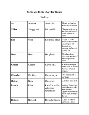 Suffix and Prefix Chart for Skeletal System - Suffix and Prefix Chart ...