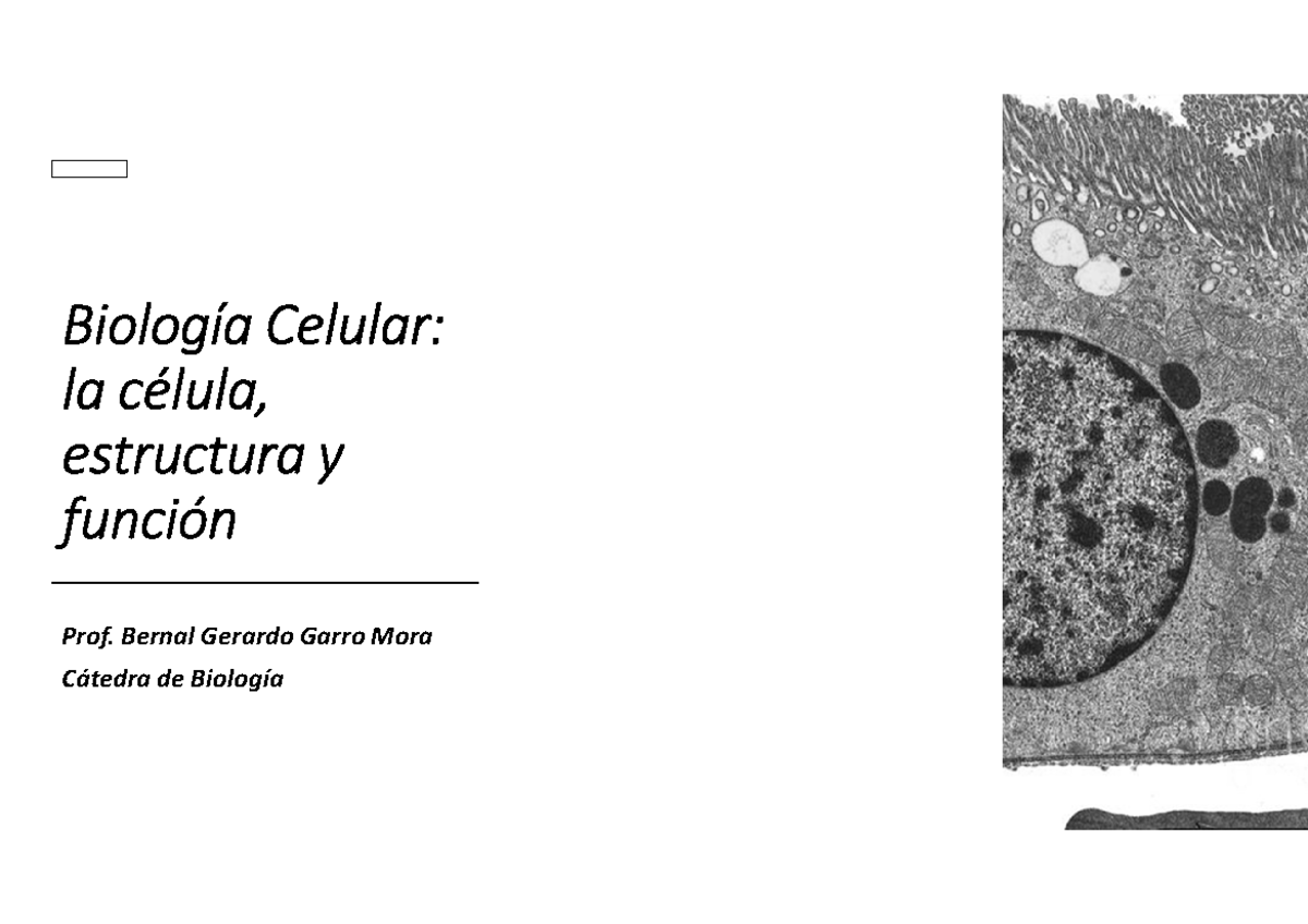Biología Celular: Estructura y Función - Biología General 2 - Studocu