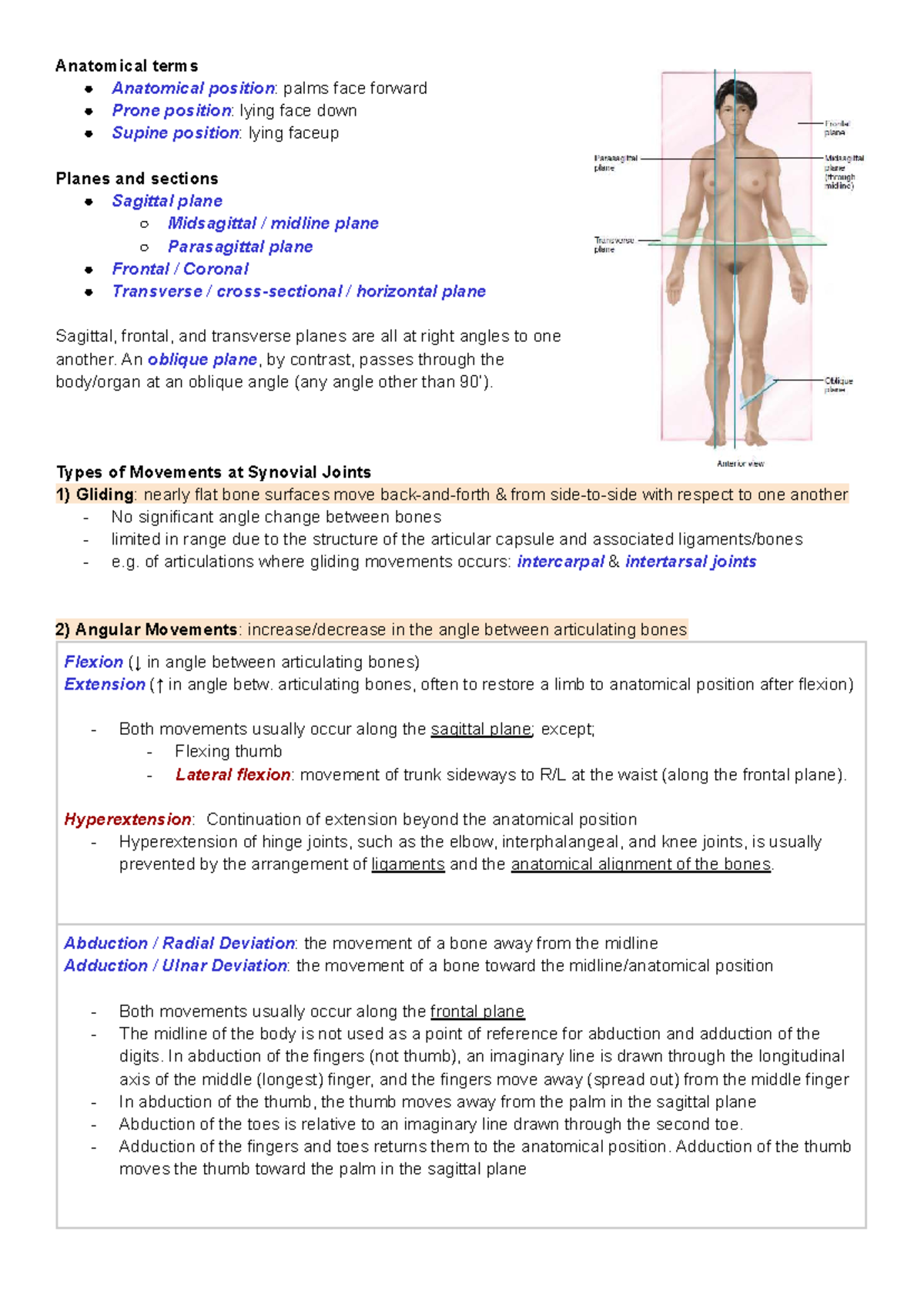 Lab 4 (Musculoskeletal): Anatomical Terms & Movements Overview - Studocu
