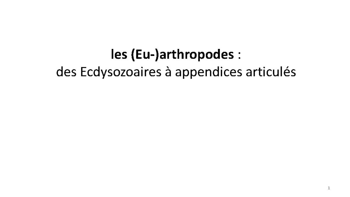 Titre : VU 986 - Généralités sur les Euarthropodes et leur Évolution ...