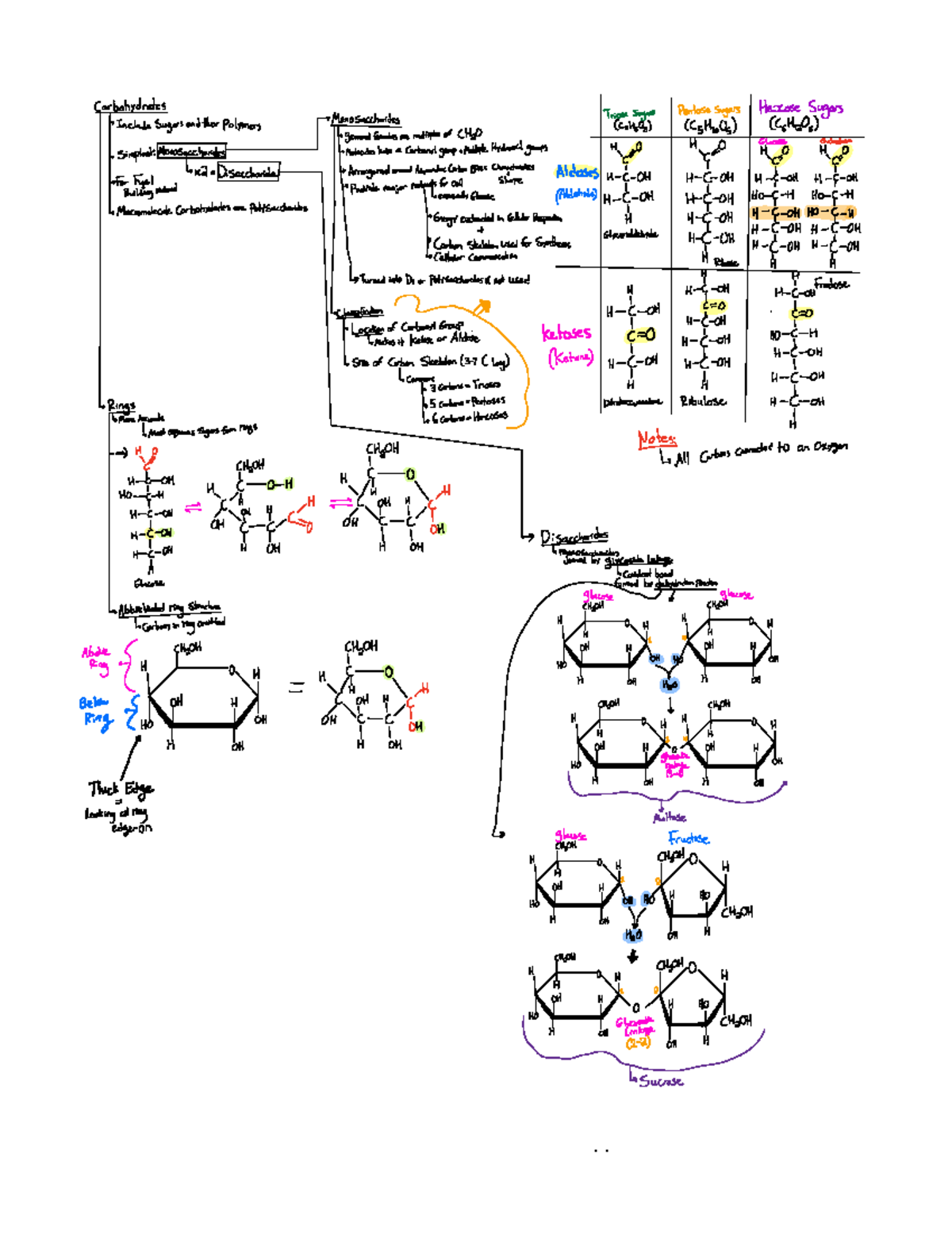Biochemistry 201: Comprehensive Notes on Carbohydrates - Studocu