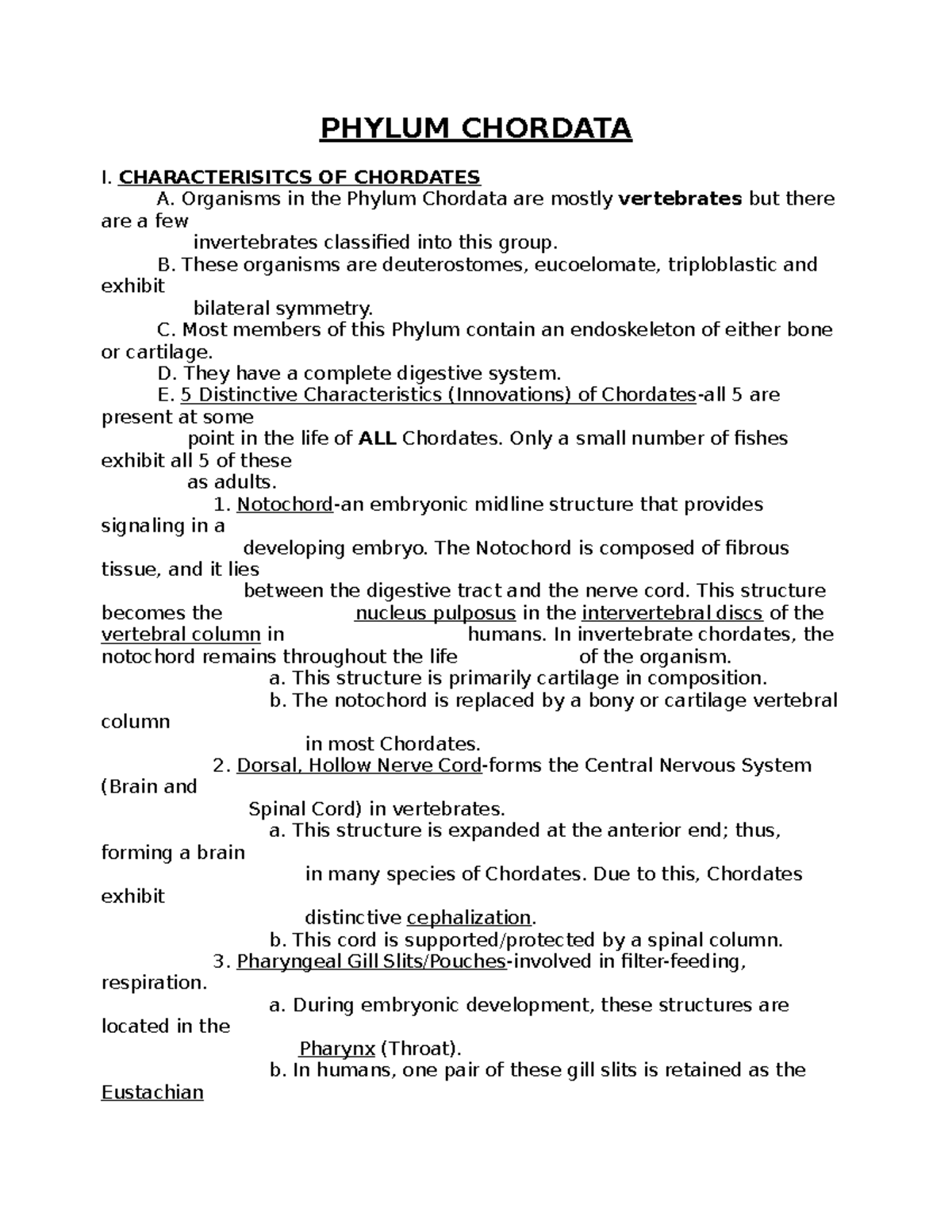 Characteristics and Classification of Phylum Chordata: A Detailed ...