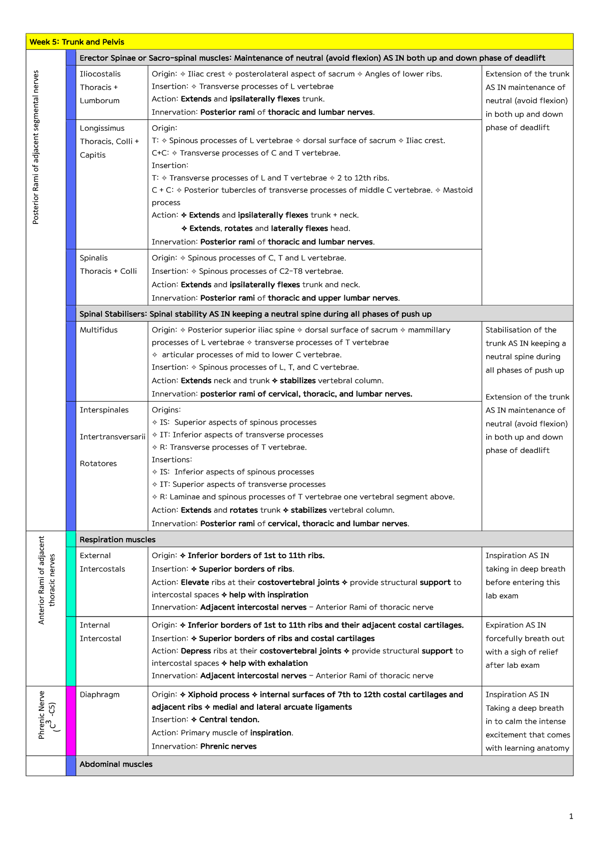 AFA 2 Lab Exam: Trunk, Pelvis, and Lower Limb Muscles Overview - Studocu