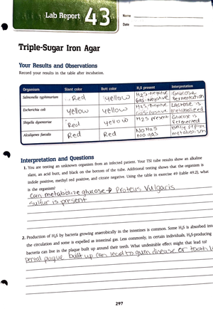 [Solved] You forgot to heat fix your slide What would you see ...