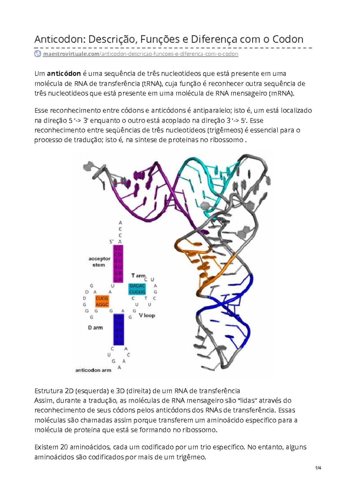 Anticodon Descrição Funções e Diferença com o Codon - Anticodon ...