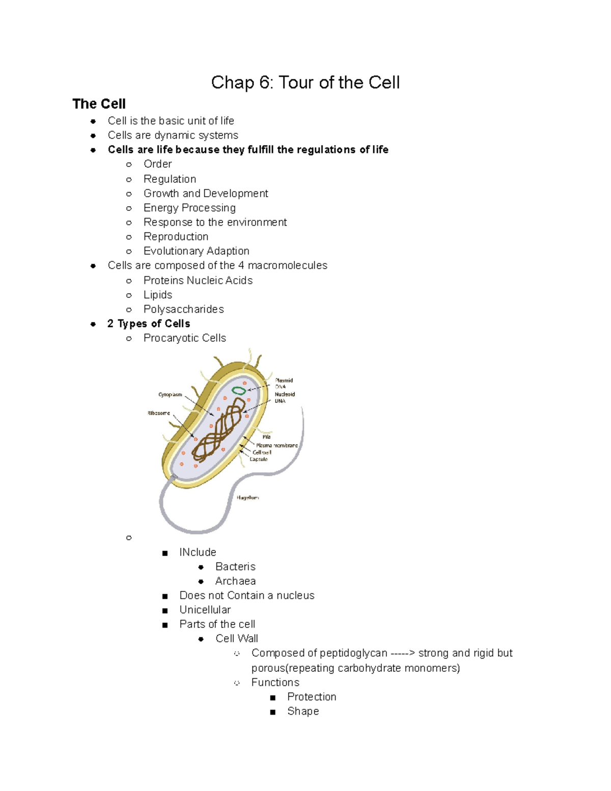Biology 101: Tour of the Cell - Lecture Notes on Cell Structure - Studocu