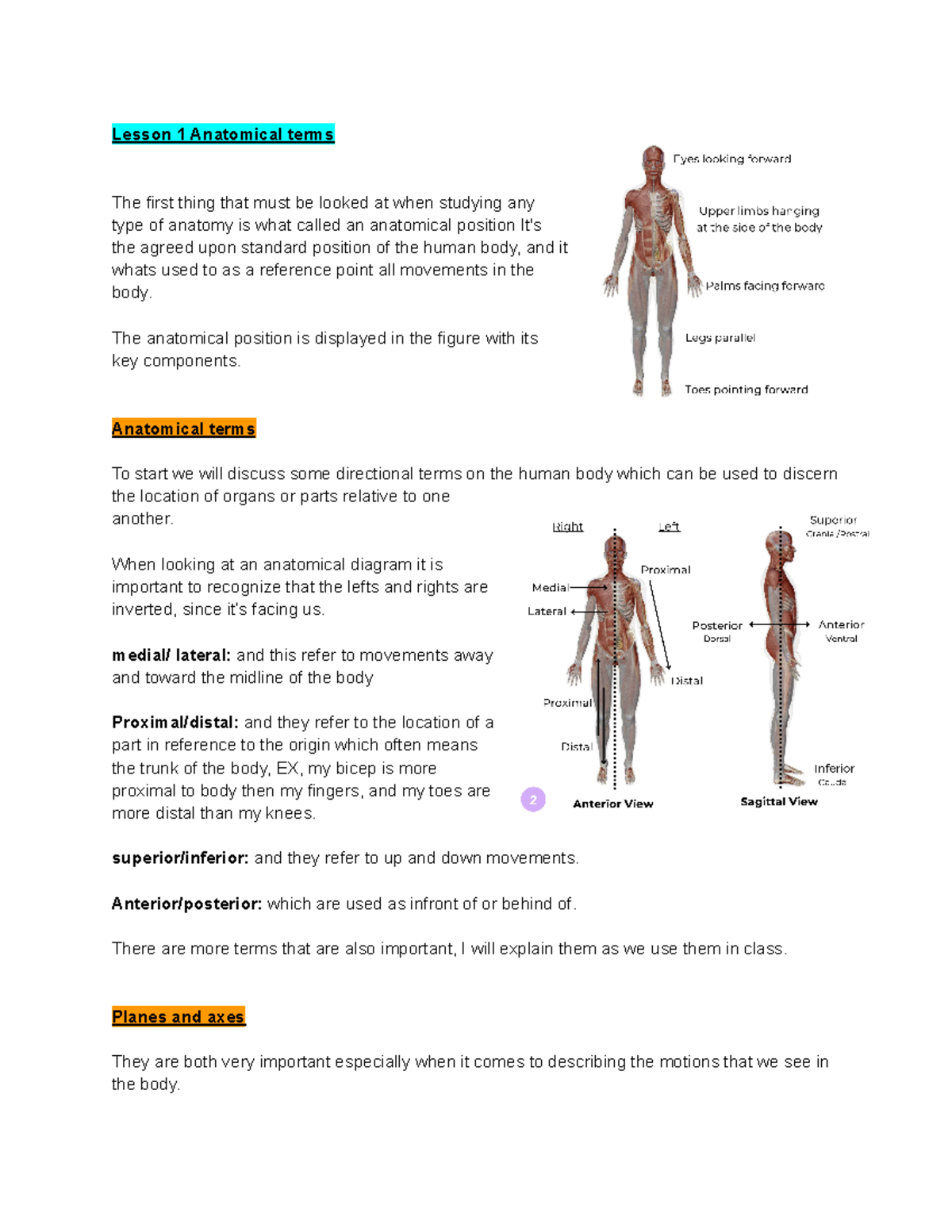 3222 anatomy - detailed notes - Lesson 1 Anatomical terms The first ...