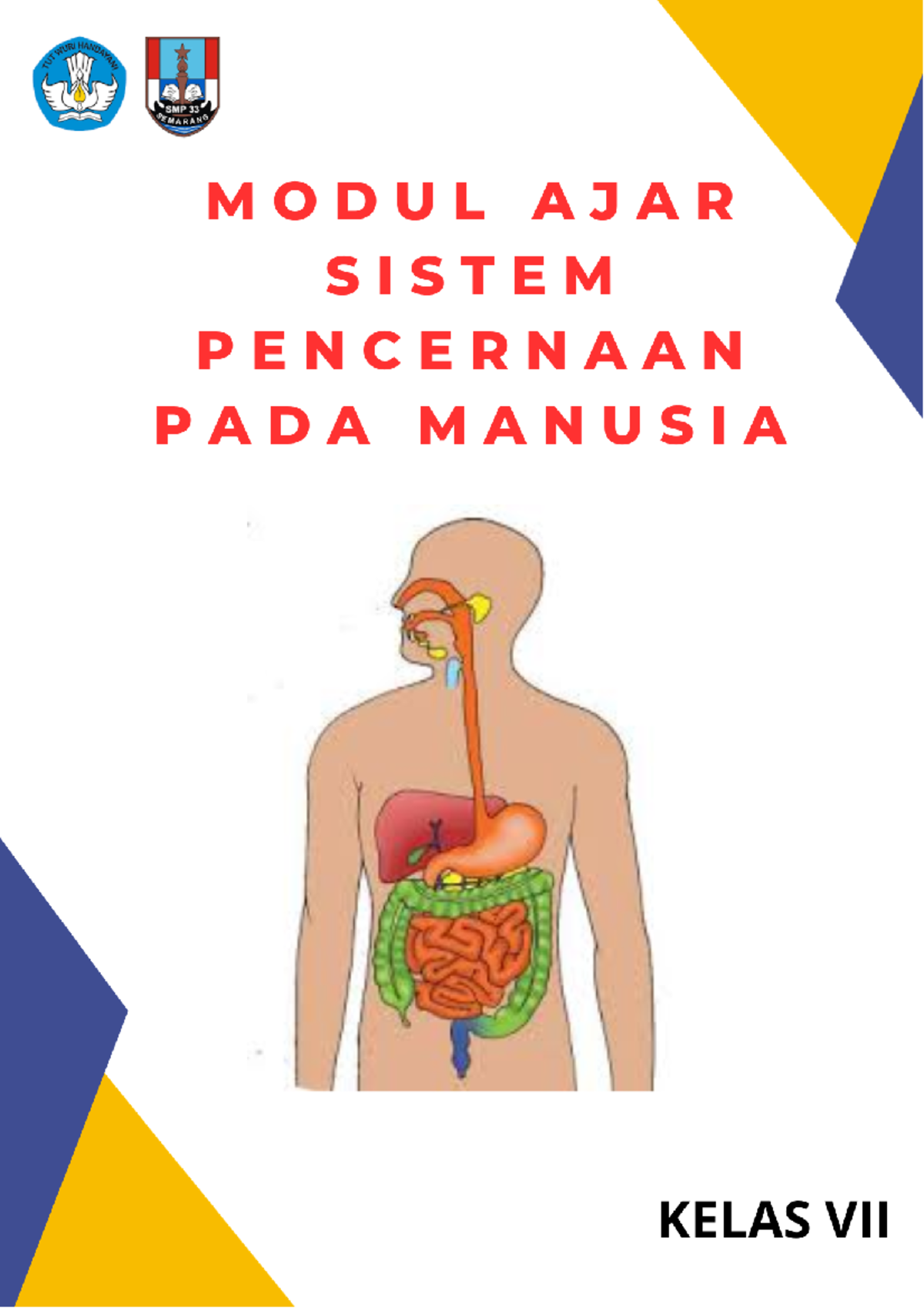 Modul Ajar: Sistem Pencernaan pada Manusia - Kelas VIII/Fase D - Studocu