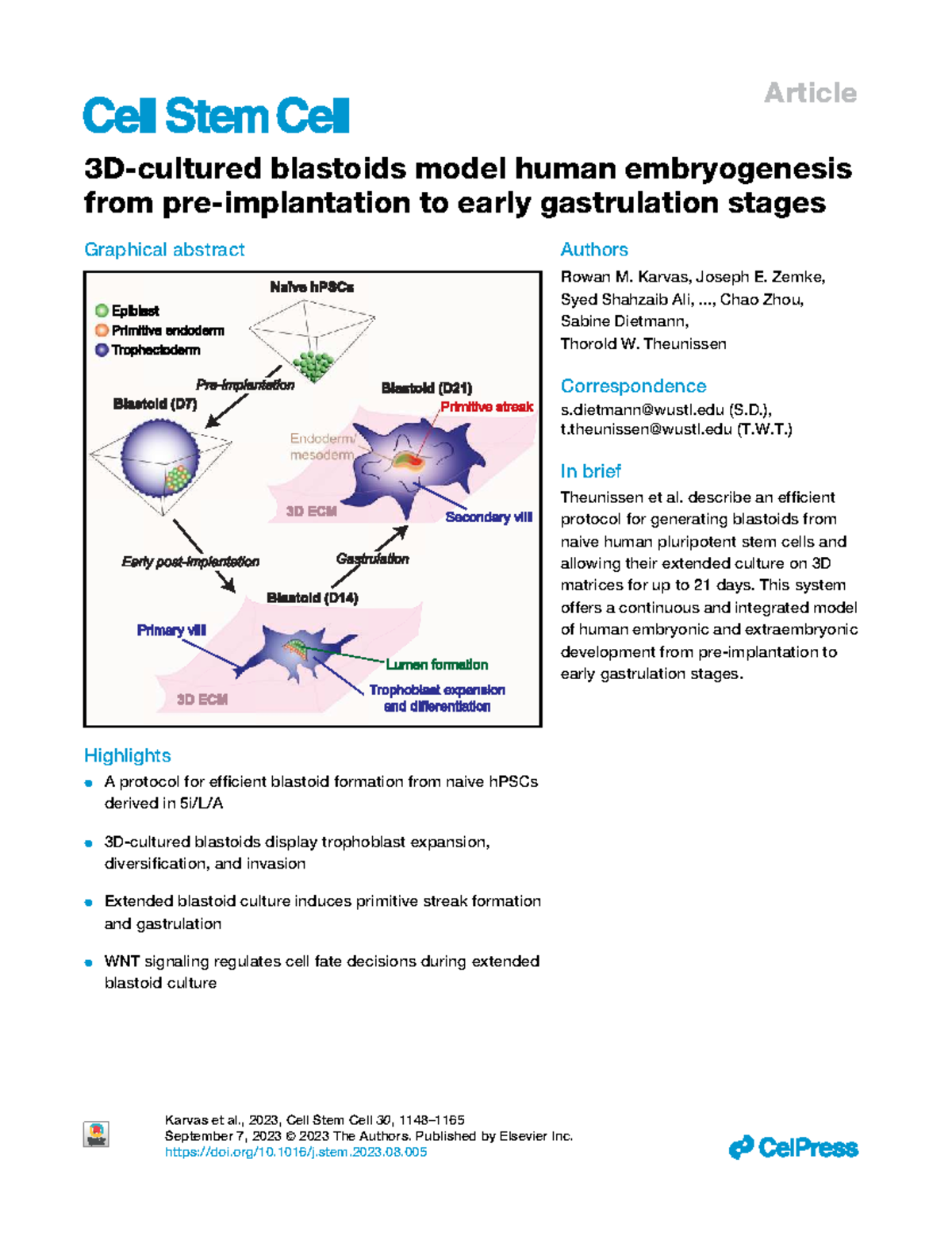 3D-Cultured Blastoids Model Human Embryogenesis: Insights into Early ...