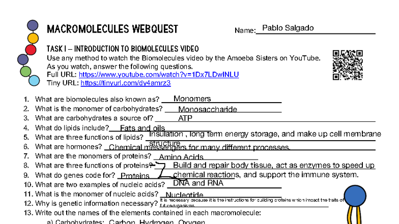 MACROMOLECULES WEBQUEST TASK 1 & 2: INTRO TO BIOMOLECULES - Studocu