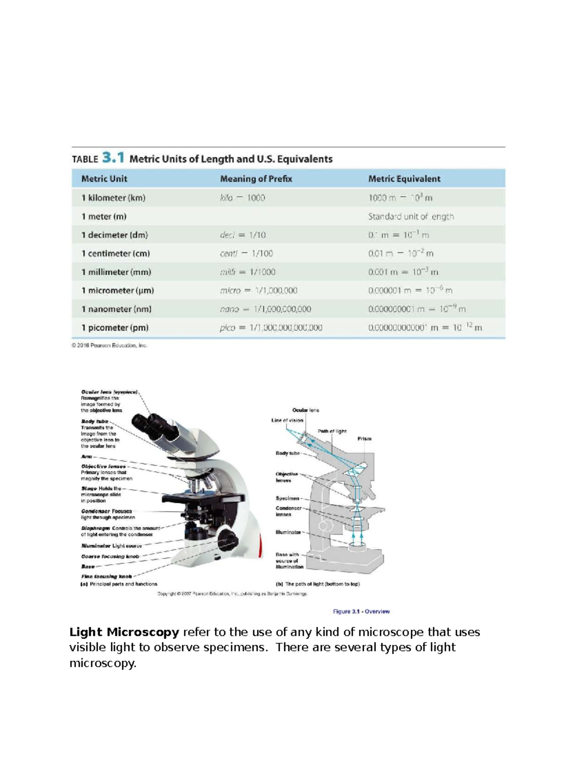 Different Types of Light Microscopy: A Comprehensive Overview - Studocu