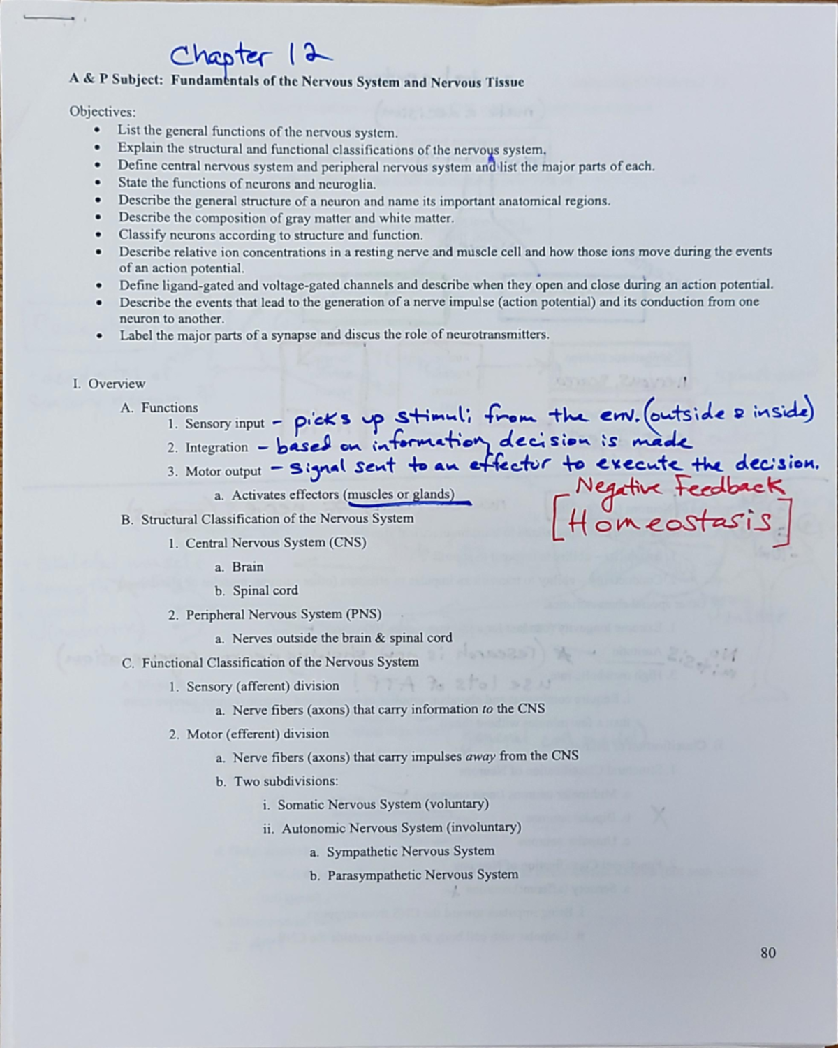 Chapter 12 Notes - Chapter 12 A P Subject: Fundamentals of the Nervous ...